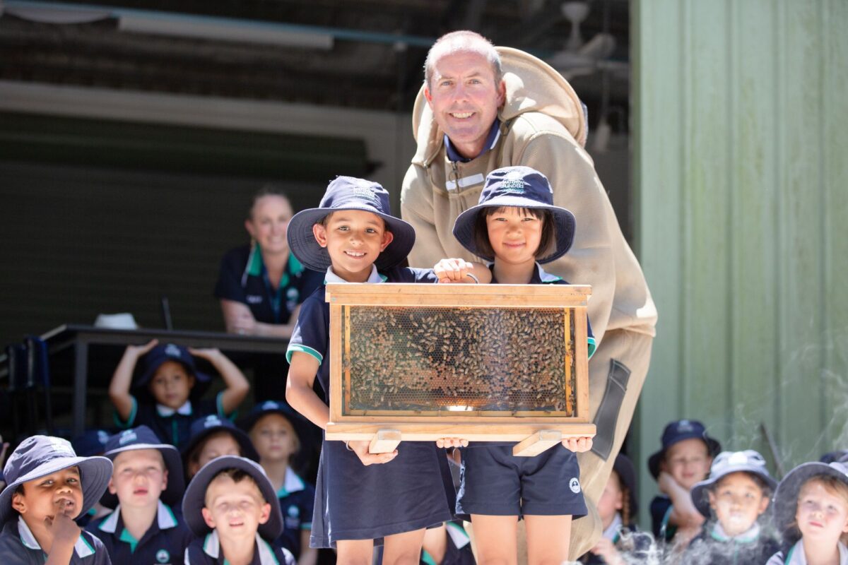 Year 1 Studies the Importance of Bees at the Flinders Farm