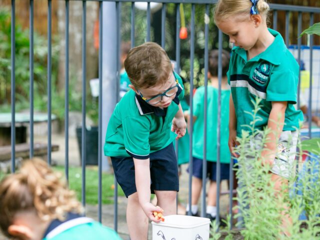 Flinders Early Learning Centre - A Leading Kindergarten
