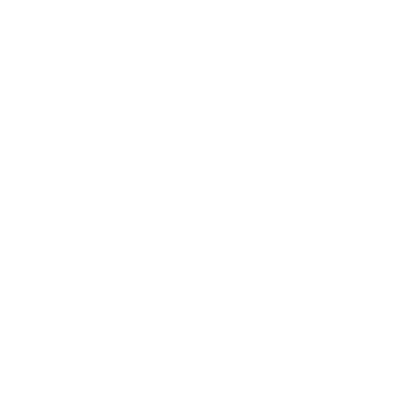 Year to RISE - Matthew Flinders Anglican College